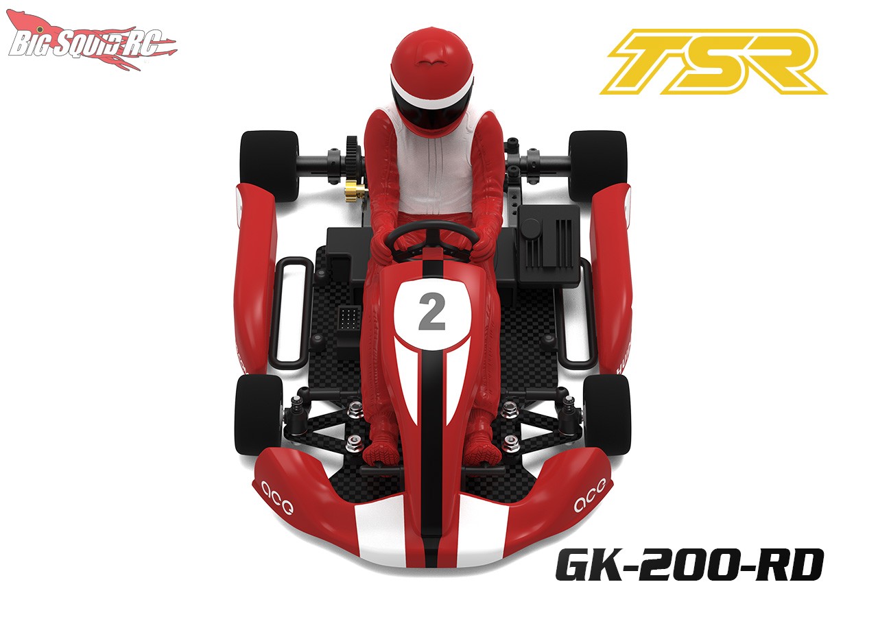 Team Saxo 1/8 Go Kart Kit « Big Squid RC – RC Car and Truck News ...